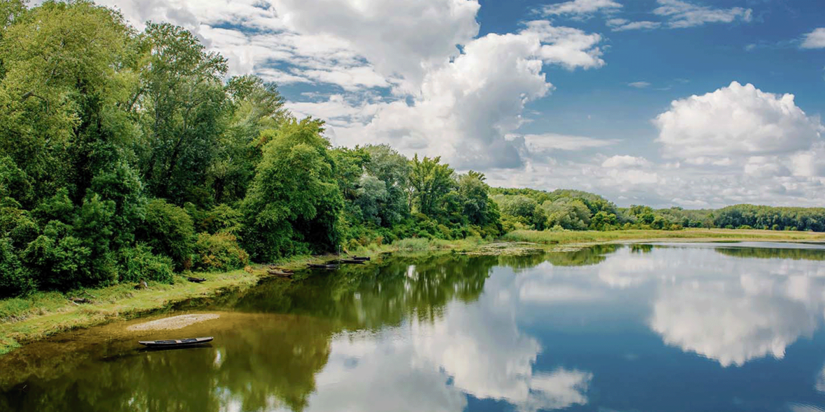 Ergebnis zur Lobau-Autobahn - Die Grünen Wien